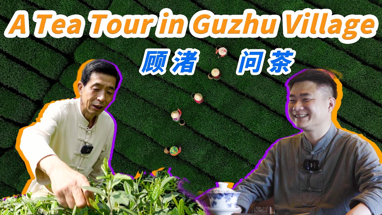 A Tea Tour in Guzhu Village｜顾渚问茶｜Zhejiang｜Zhejiang Changxing｜Chinese ...