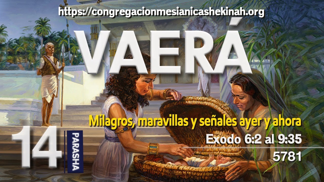 Parashá #14 Vaerá 2021 - YouTube