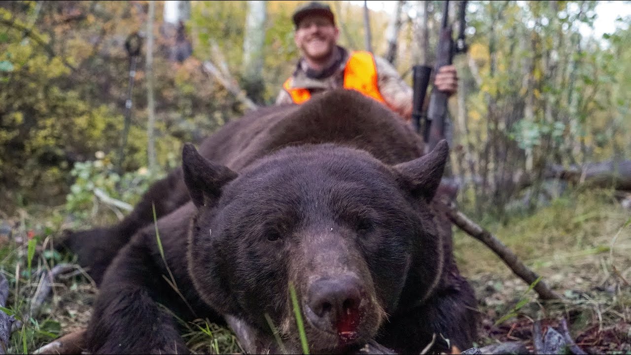 I Hunted BEAR & ELK For 8 Days in Colorado! - YouTube