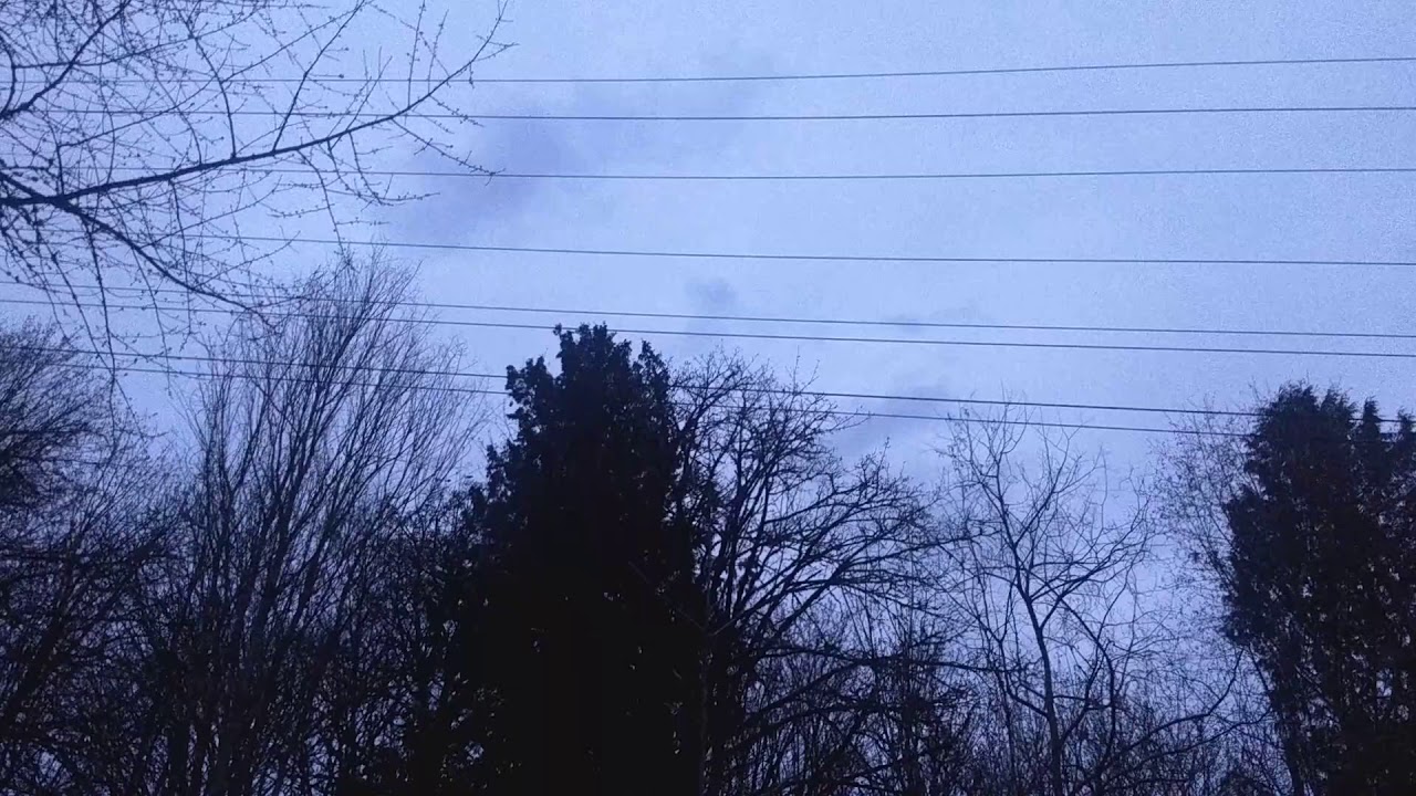 Millions of Crows In Seattle - YouTube