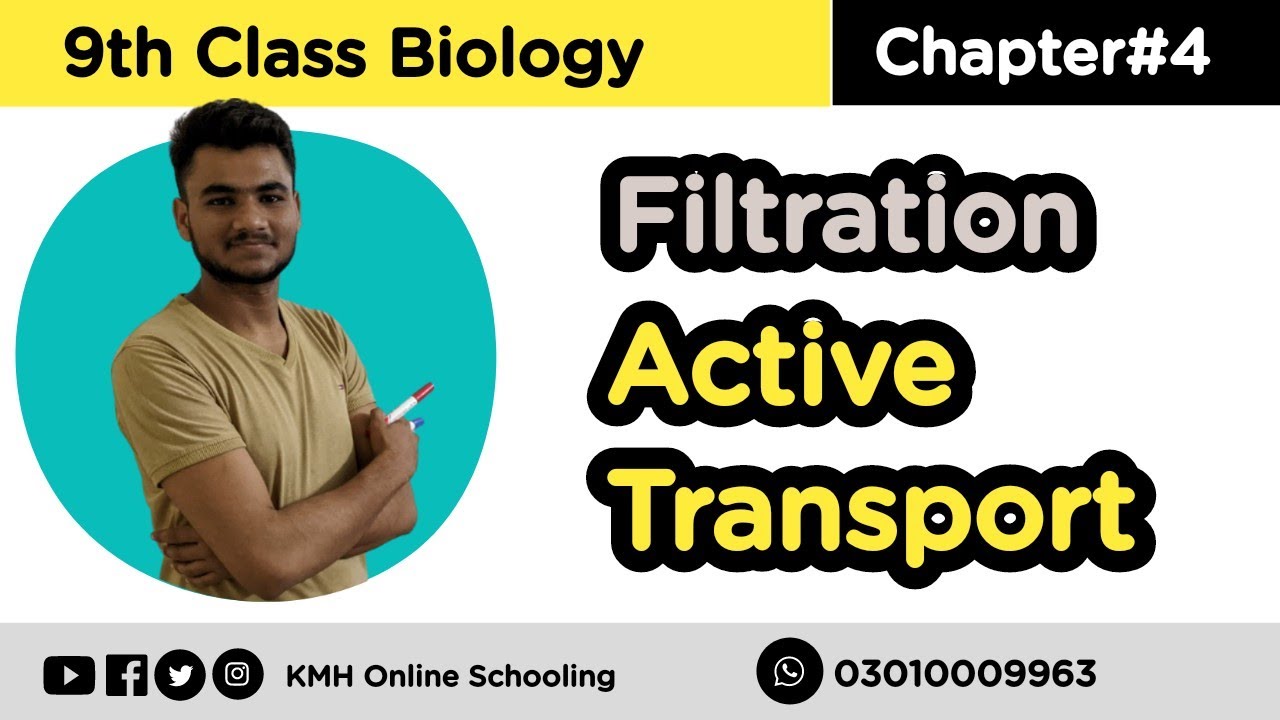 Filtration | Active Transport| 9th Class Biology Cells and Tissues ...