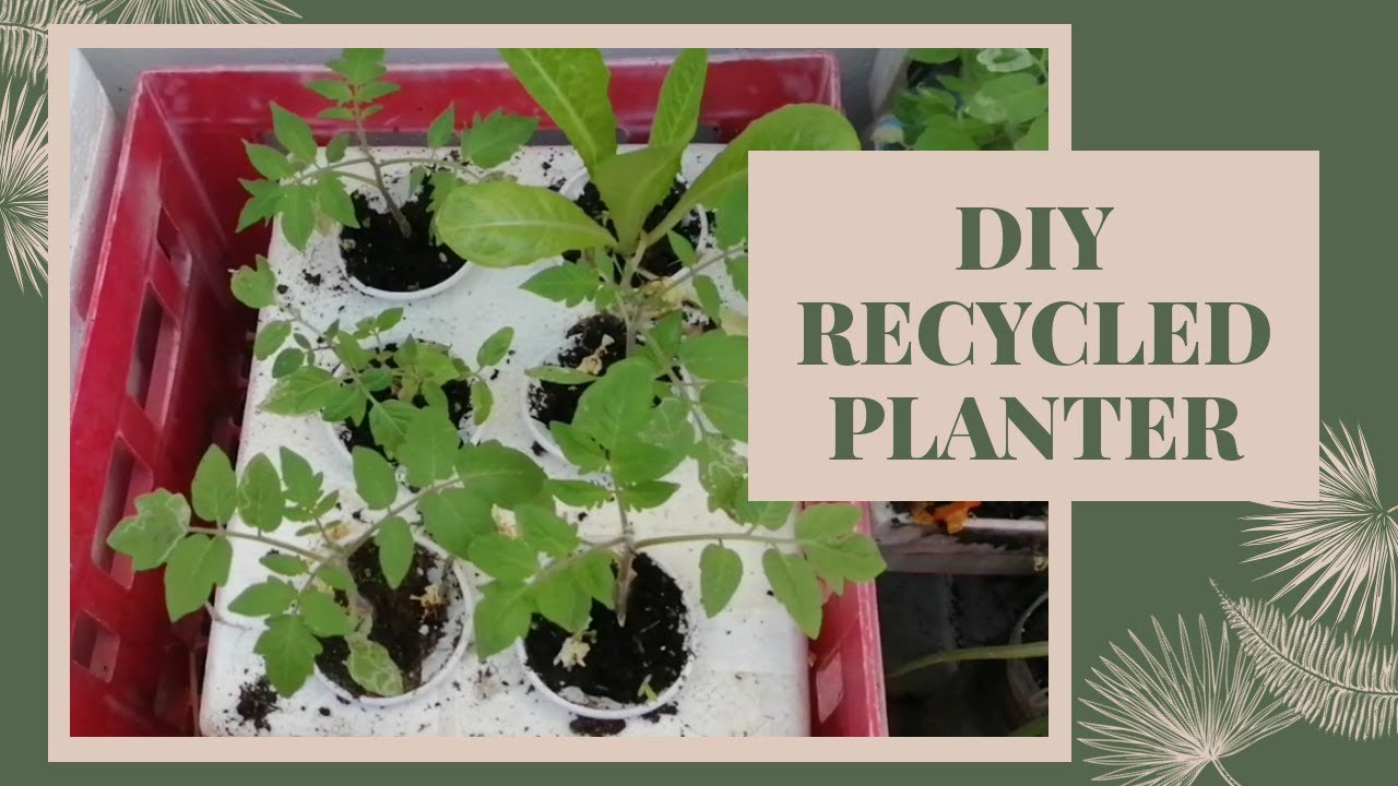 How To Make A DIY PLANTER from an Old Styrofoam Box - YouTube