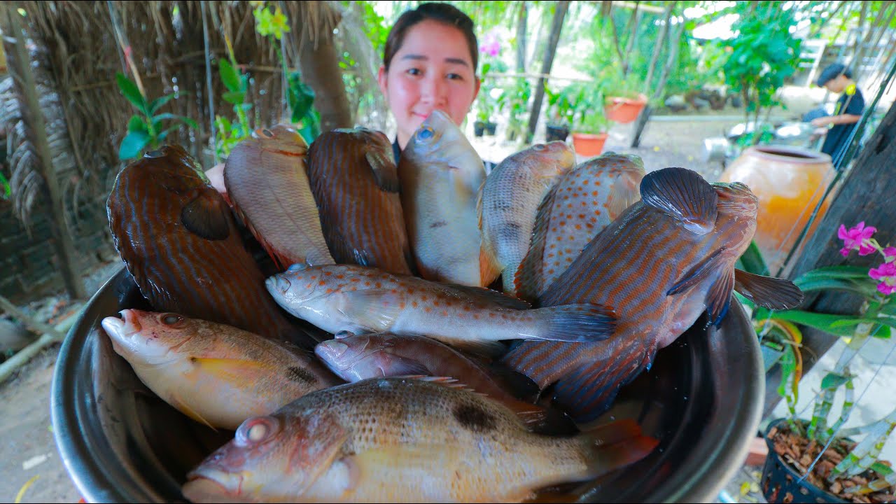 Namya Fish Curry Cooking Rice Noodle - Namya Noodle Soup - Cooking With ...