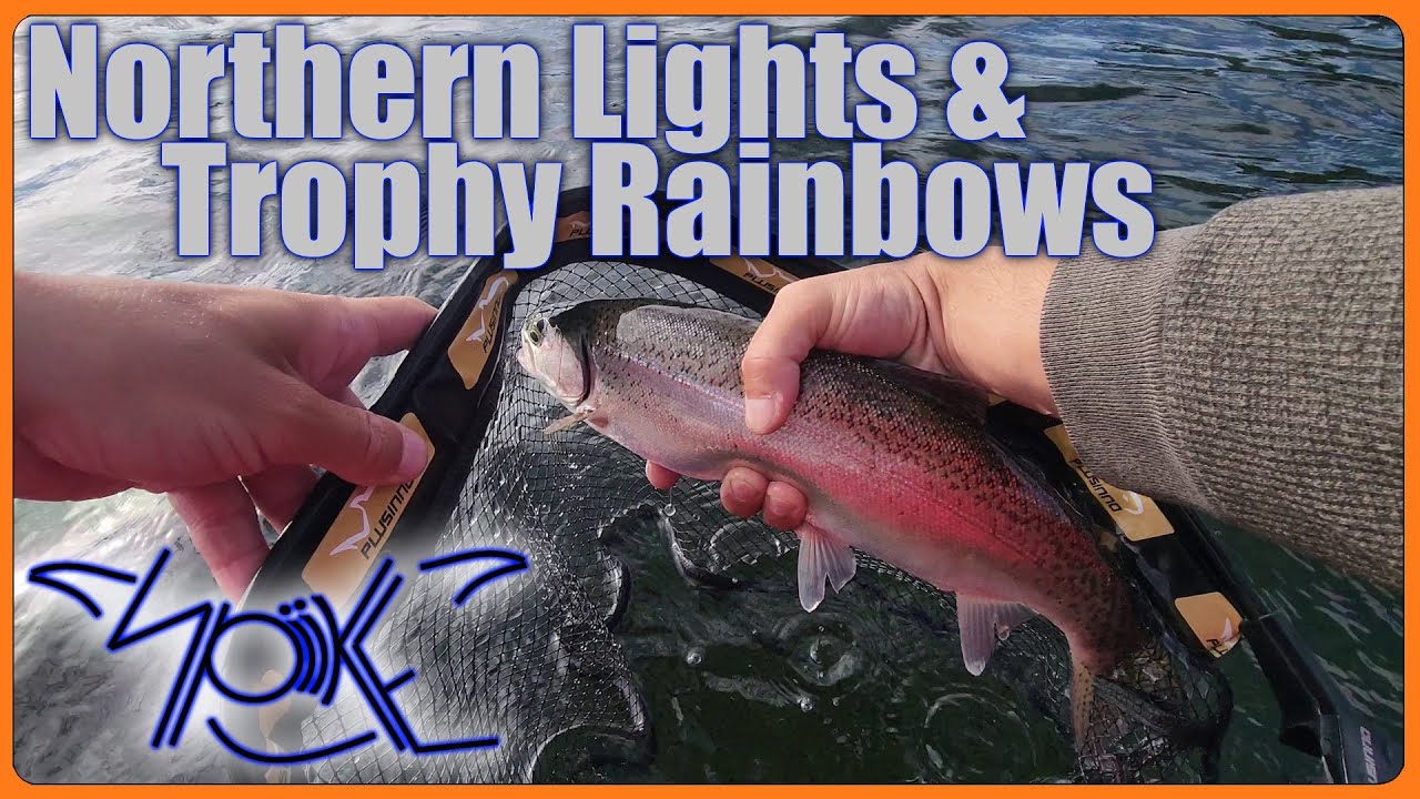 Rainbow Fish and Aurora Borealis in One Epic Few Days! - YouTube