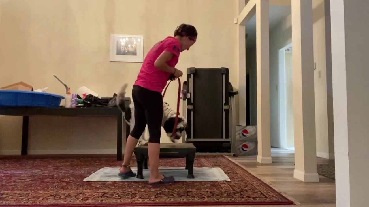 Snoopy’s First Day of Training - YouTube