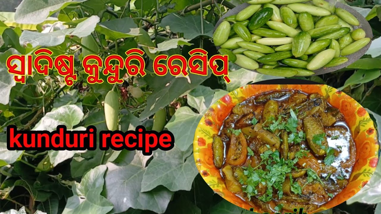 କୁନ୍ଦୁରି recipe/ kunduri recipe/ Odia ||କୁନ୍ଦୁରି ତରକାରି || # ...