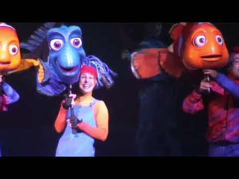 AKDM Finding NEMO 2009 14 SWIM DOWN