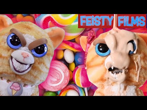 Princess Pottymouth’s Sugar Compilation (Vol. 1: Feisty Cats Rule!)