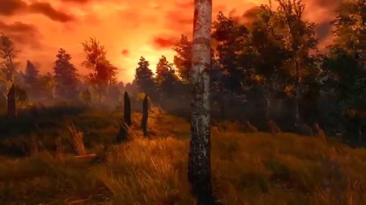 The Witcher 3 - White Orchard - YouTube