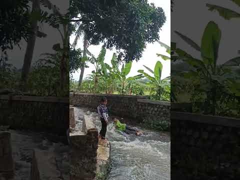 Muhammad dan Mahmud Mandi di Sungai Susukan Lebak Cirebon