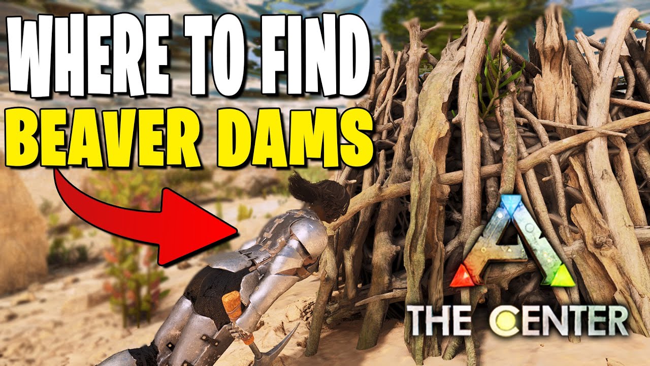 WHERE TO FIND BEAVER DAMS IN ARK SURVIVAL ASCENDED THE CENTER - YouTube