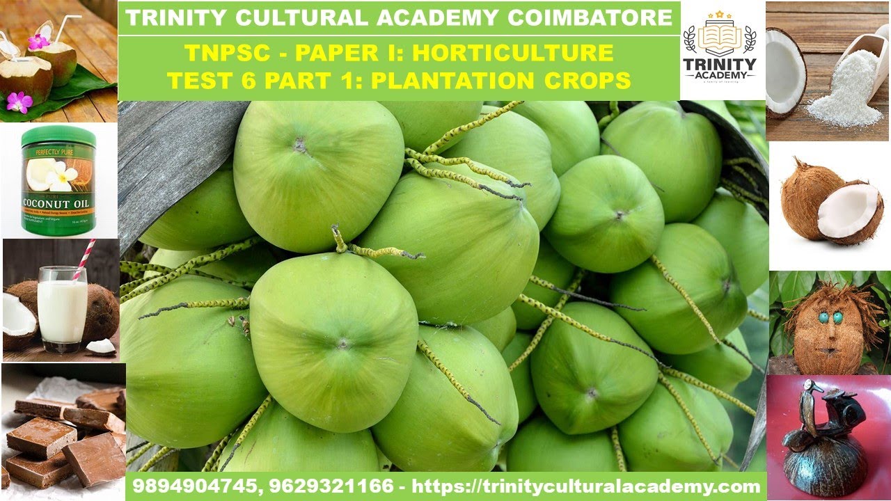 Horticulture: Test 6 Part 1 - Plantation Crops - Dr K. Vanangamudi ...