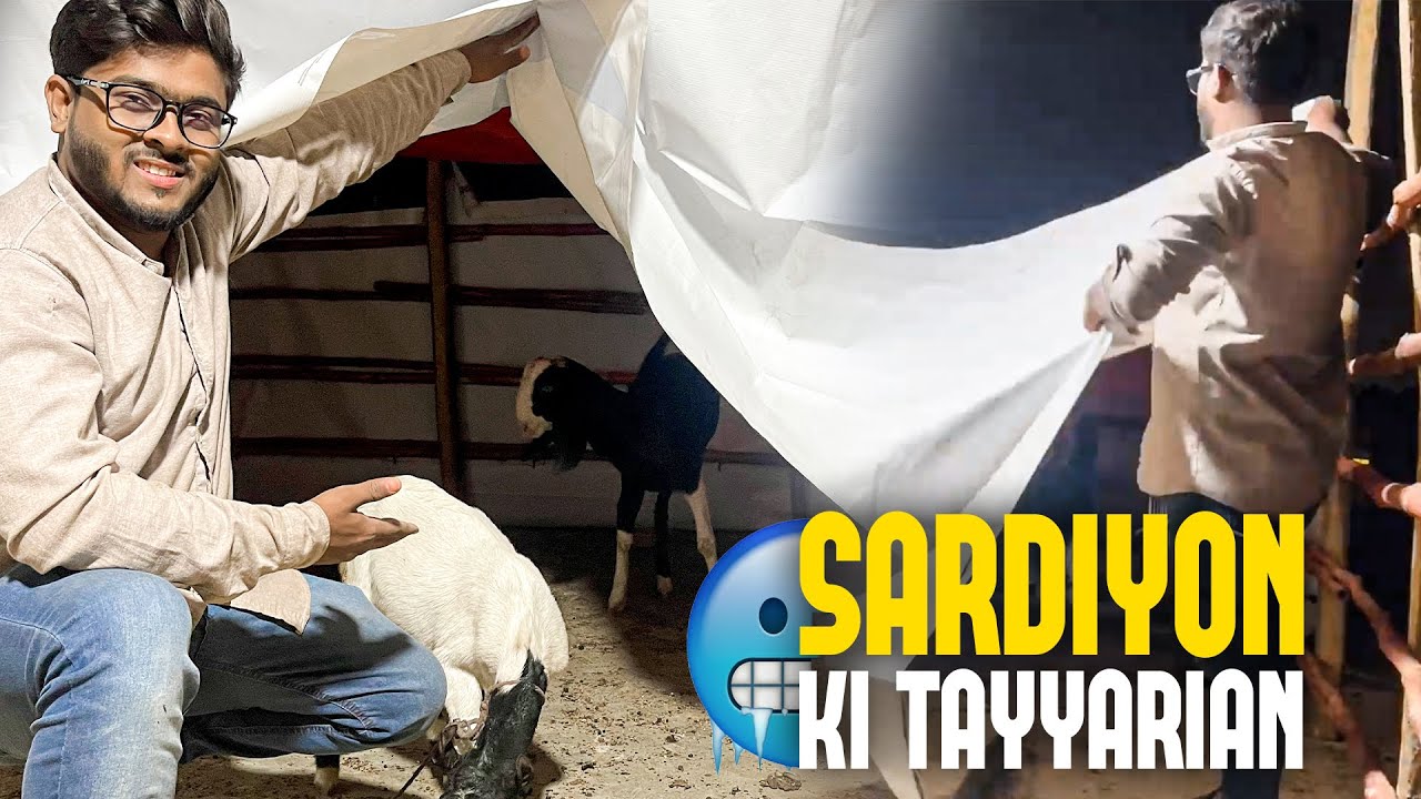 Sardiyon Ki Tayyarian | Bakron ko Dhak Diya - YouTube