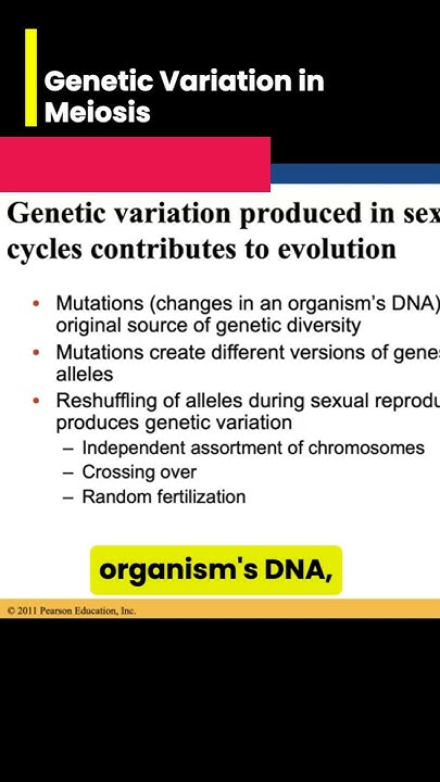 Genetic Variation & MEIOSIS - YouTube