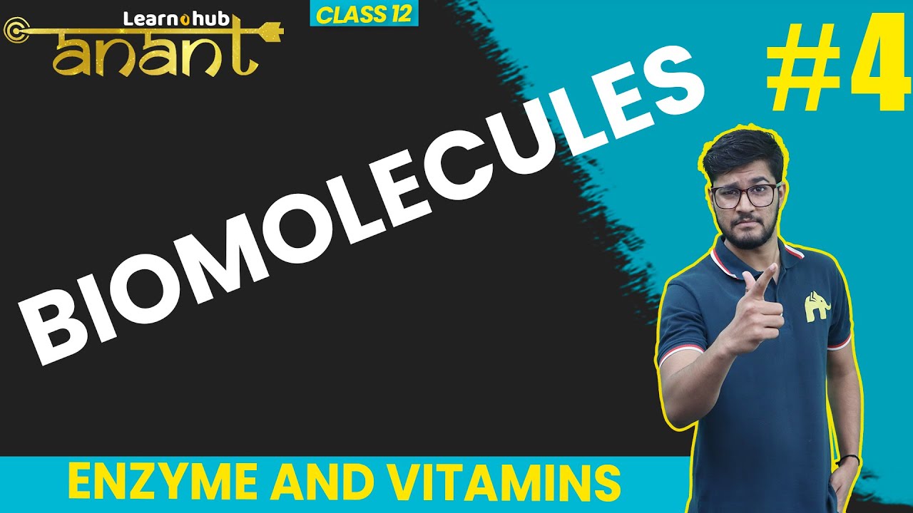 BioMolecules Class 12 Chemistry NCERT Chapter 10 #4 | Enzyme and ...