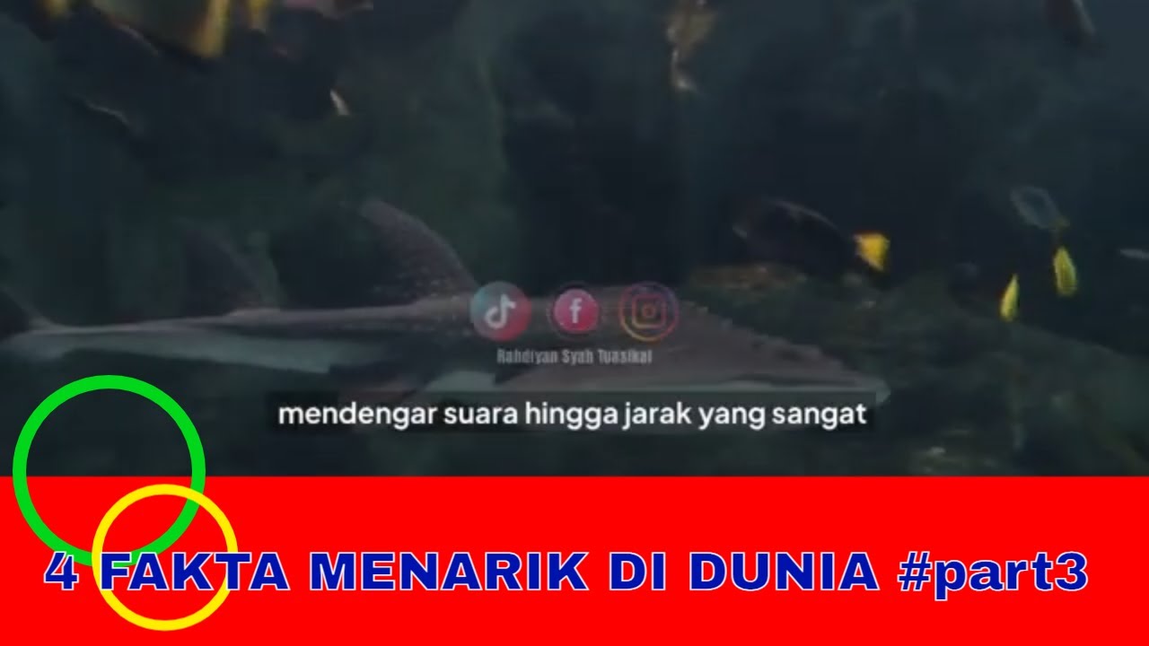 4 FAKTA MENARIK DI DUNIA #part3 - YouTube