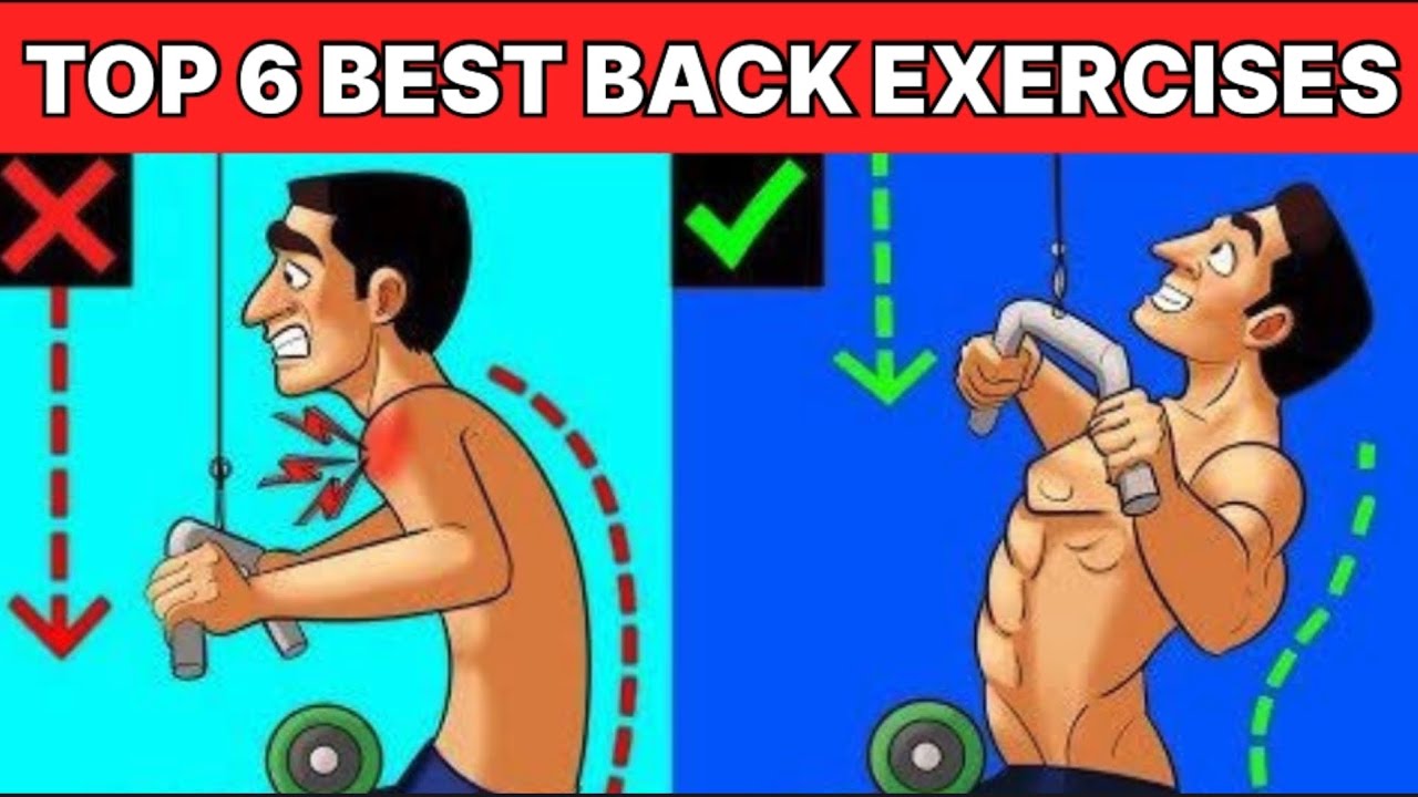 Top 6 best Back Exercises | for beginners - YouTube