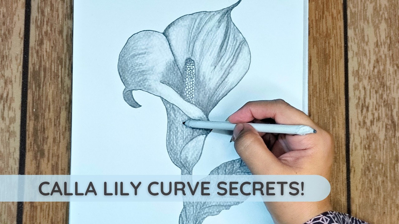 How to Draw Calla Lily: Elegant Curves & Realistic Shading Technique ...