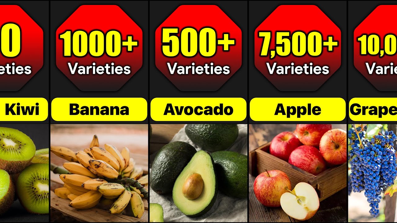 How Many Varieties Different Fruits Have | Which Fruit Has The Most ...