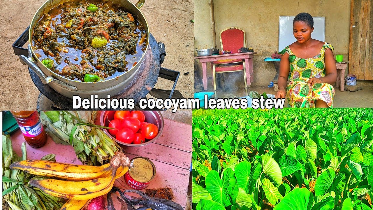 Life in Togo. Cooking delicious cocoyam leaves stew with plantains ...
