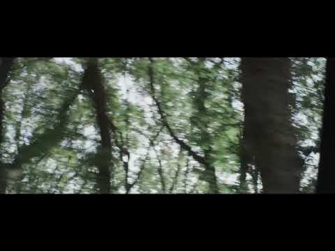 Xoş geldin omrume ( Haminin axdardigi mahni )