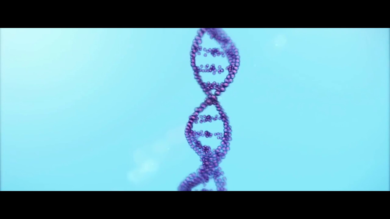 Amicogen (China) Biopharm Co., Ltd: manufacture API, intermediate and ...