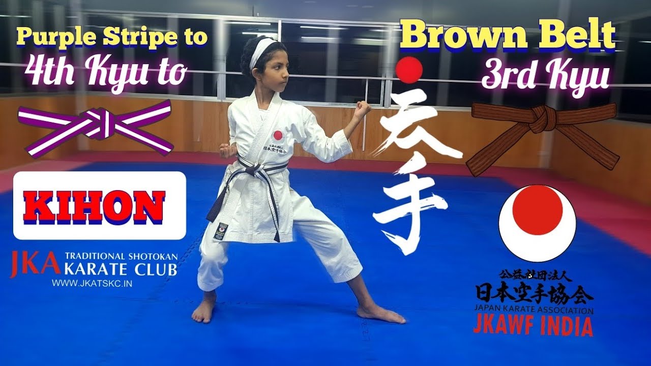 Purple Stripe Belt to Brown Belt || 4th Kyu to 3rd Kyu || KIHON || JKA ...