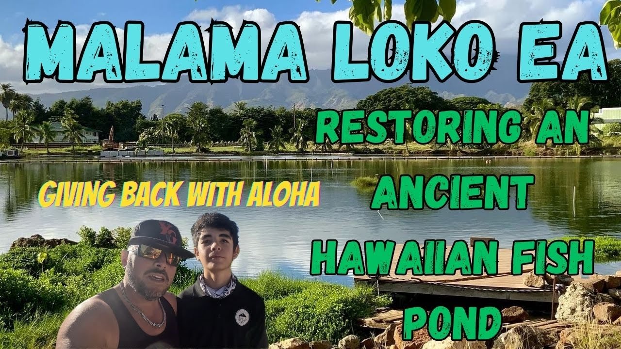 GIVING BACK WITH ALOHA-MALAMA LOKO EA: RESTORING AN ANCIENT HAWAIIAN ...