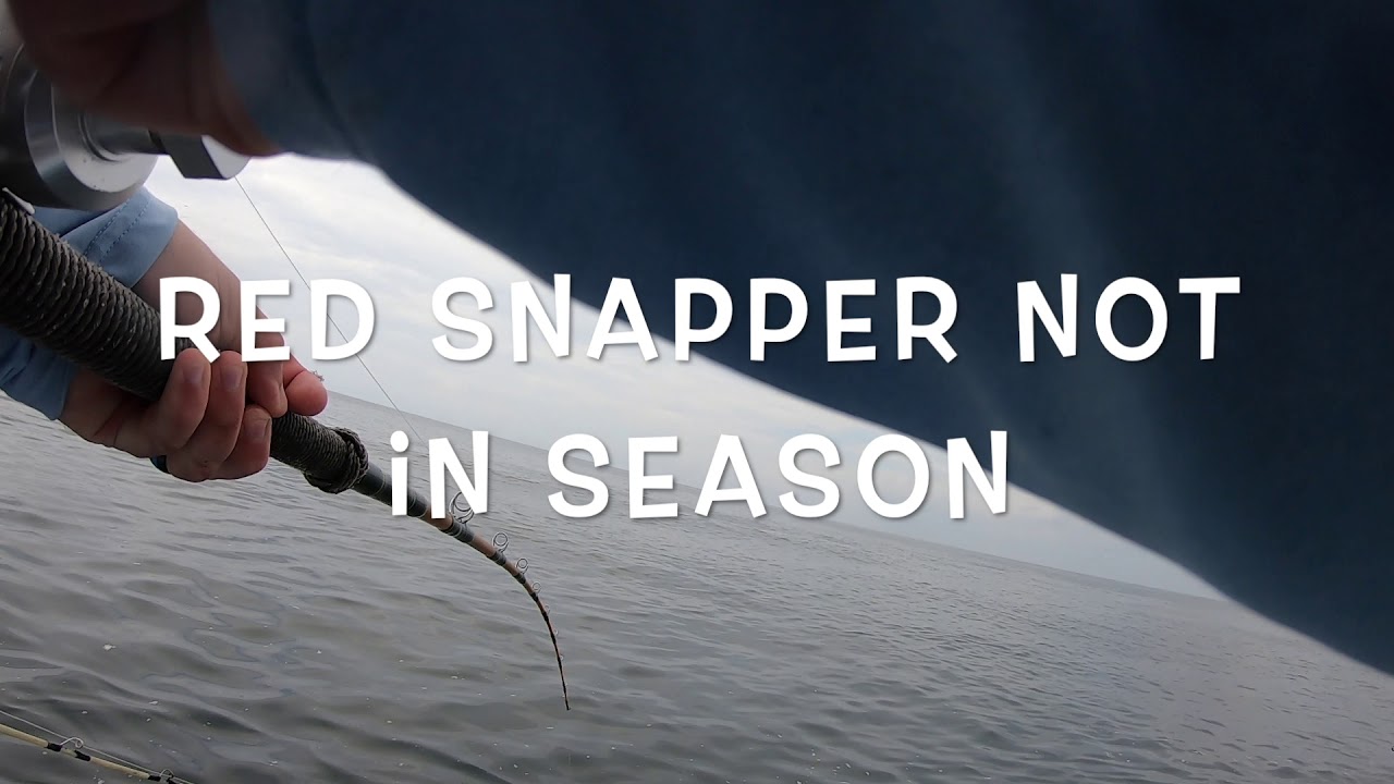 Bottom Fishing Galveston, TX Oil Rigs Offshore (TONS of Spadefish ...