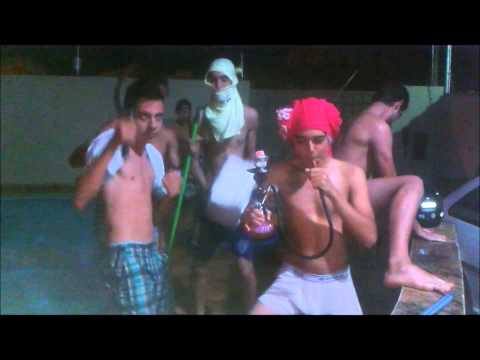 mansão pelegrin harlem shake