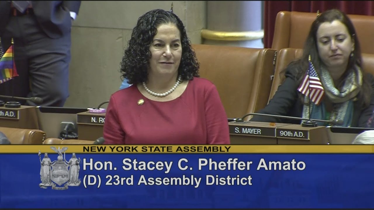 Meet Assemblymember Stacey Pheffer Amato - YouTube