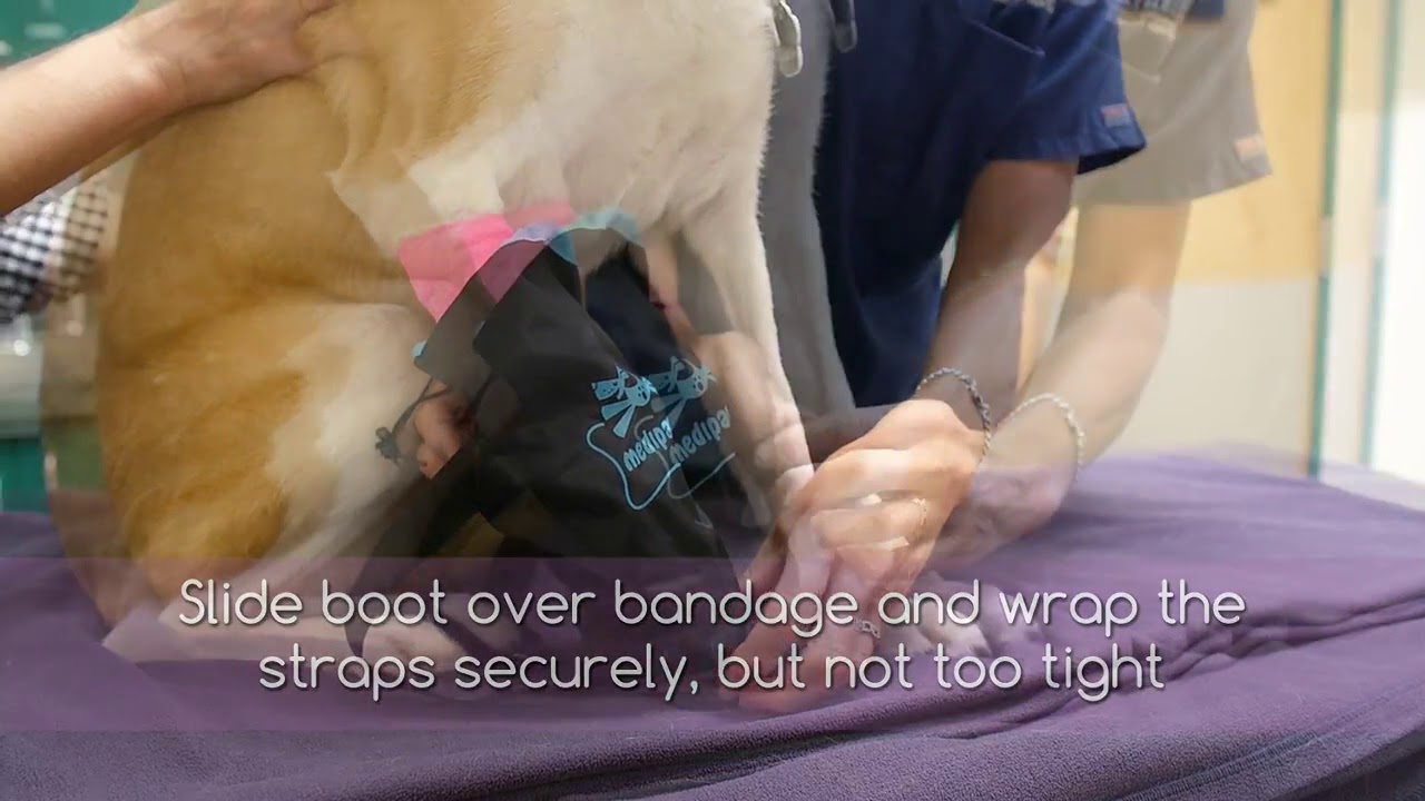 Medipaw Boot - Measuring Guide - YouTube