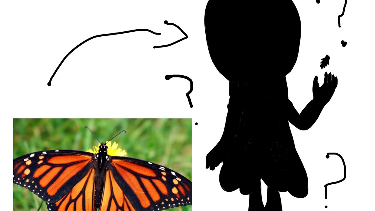 Drawing a monarch butterfly character - YouTube