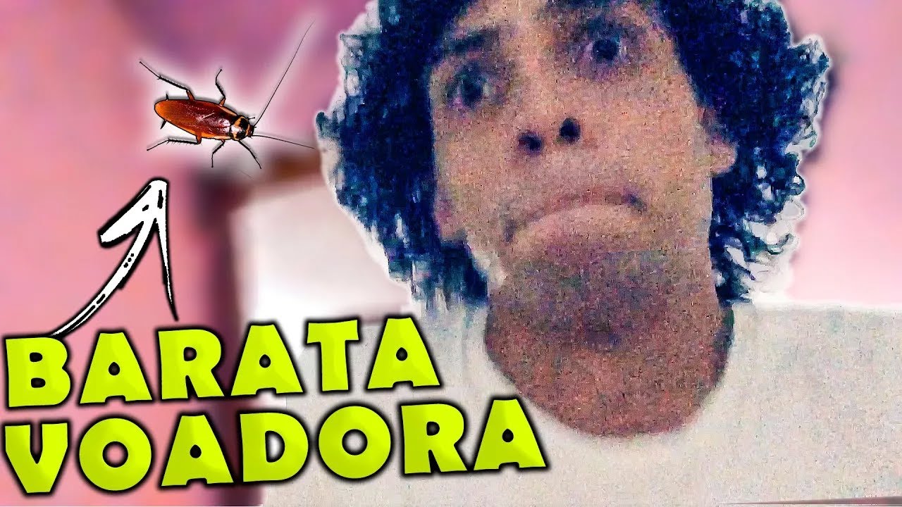 SOZINHO COM UMA BARATA VOADORA EM CASA - YouTube