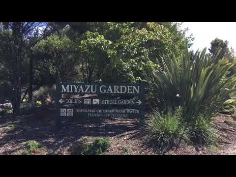 新西兰尼尔森Miyazu日本花园🌸Miyazu Jepaness Garden/Nelson/New Zealand