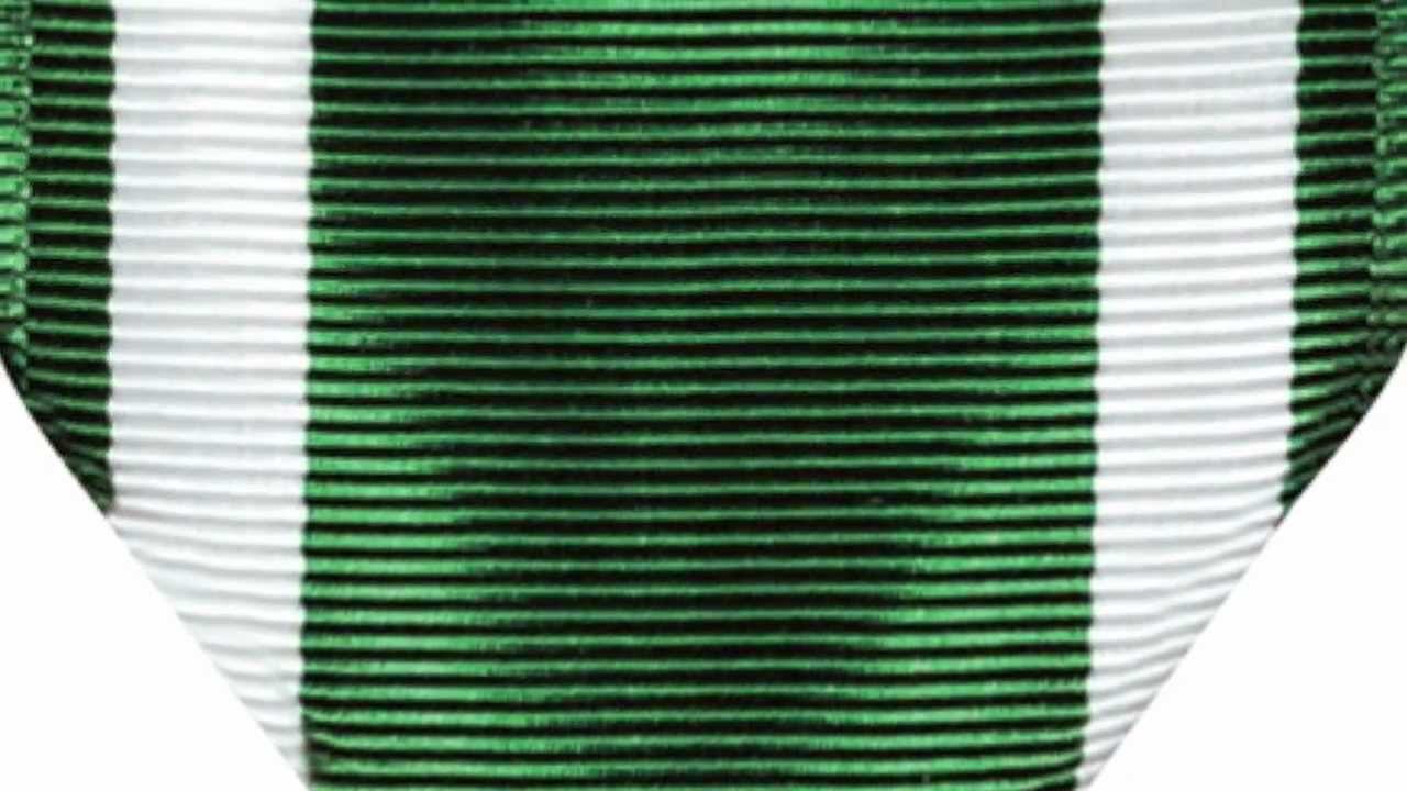 Navy Marine Corps Commendation Medal | Medals of America - YouTube