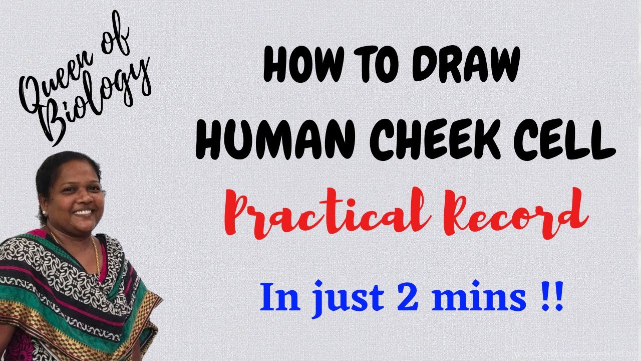 HOW TO DRAW HUMAN CHEEK CELL IN JUST 2 MINUTES. - YouTube