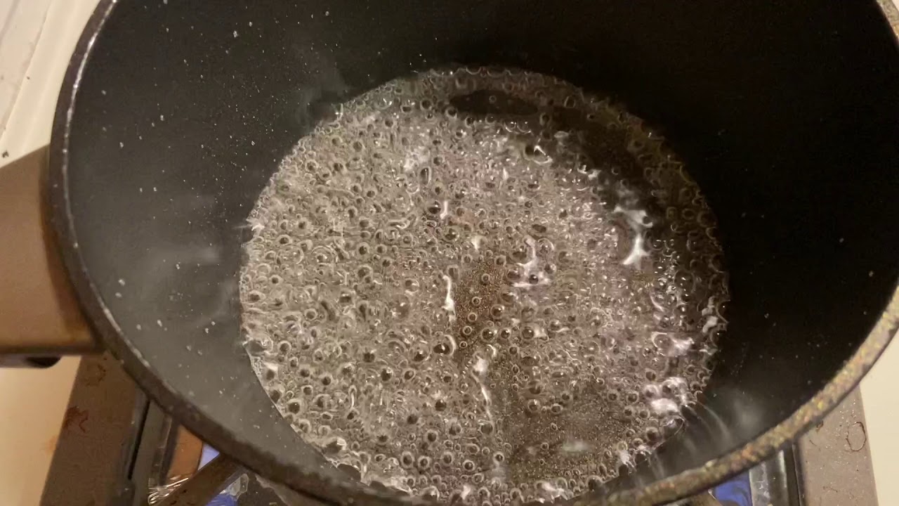 Thanksgiving Day 2020+Turkey Trot 10k+flan recipe +Archie the Whippet ...