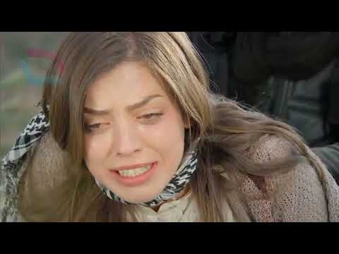 sungurlar doktor aslıyı kurtarıyor
