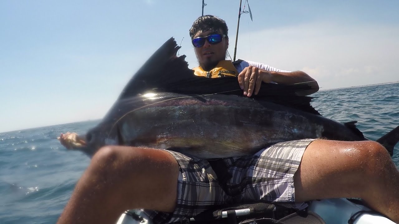 Big Sailfish From a kayak - YouTube