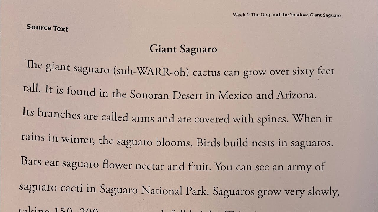 Giant Saguaro Key Word Outline (KWO) - YouTube