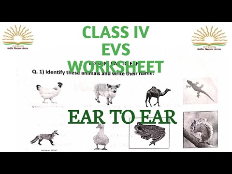 Class 4th EVs worksheet/looking around/Ear to ear/#kvworksheet #4thevs ...