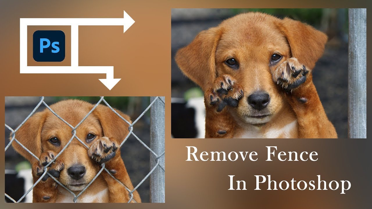 How To Remove Fence In Photoshop Best Photoshoptrick Photoshop Tutorial ...