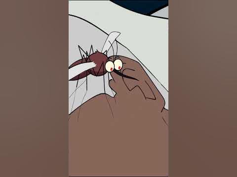 Annoying Mosquito Noise At Night - YouTube