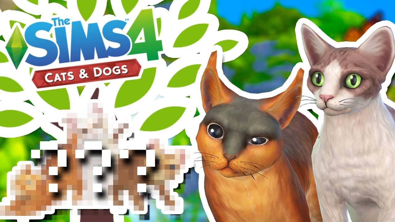 10 Generations of Squirrel x Cat Hybrids?! 🐱💚🌳 - YouTube