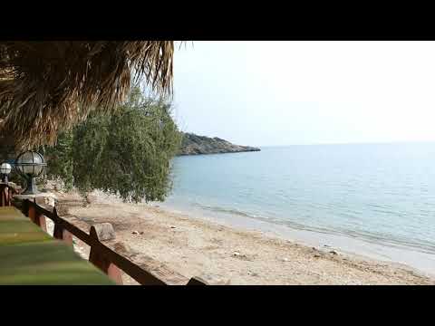 Ayten Alpman - Sen Benim Şarkılarımsın