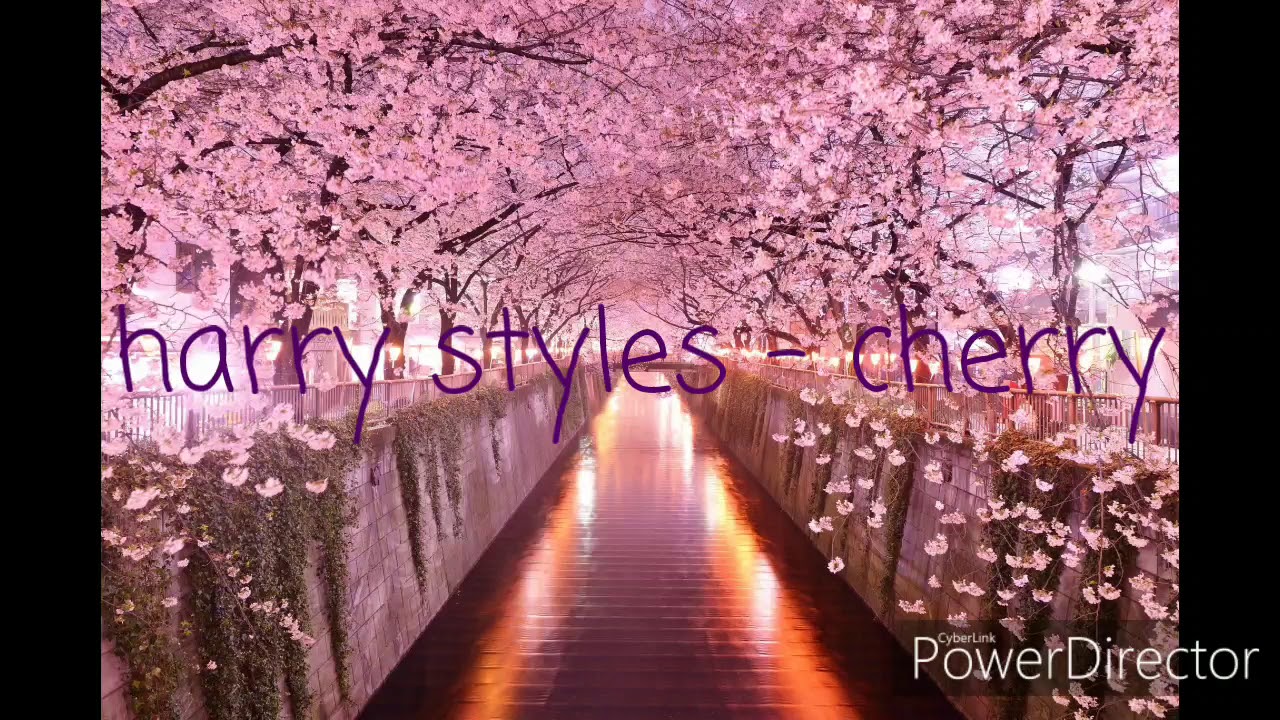 Harry Styles - Cherry (Lyrics) - YouTube