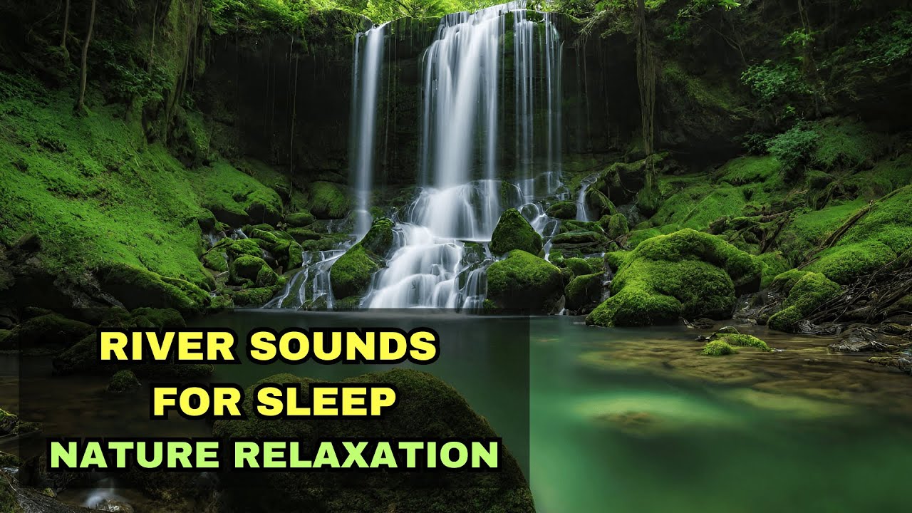 River Sounds For Sleeping 🌲 Woodland Brook Reverie, Drift into ASMR ...