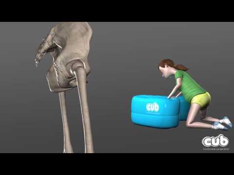 Comfortable Upright Birth Animation - YouTube