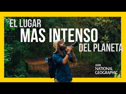 CORCOVADO 🎒La ruta más intensa que he hecho nunca (+50km atravesando la selva!)